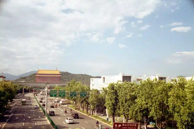 Time to Check Your Demerit Points? Here's Why and How - PD Insurance