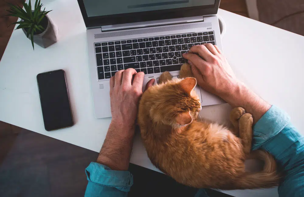 Claiming Car Expenses for Business: Our Tips - PD Insurance