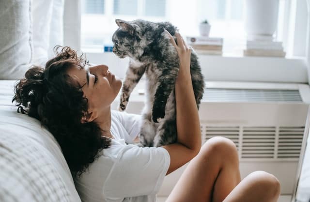 How to Speak Cat and Be Understood - PD Insurance