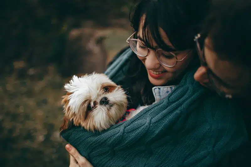 Pet Prenup for Your Furkid: Yay or Nay? - PD Insurance