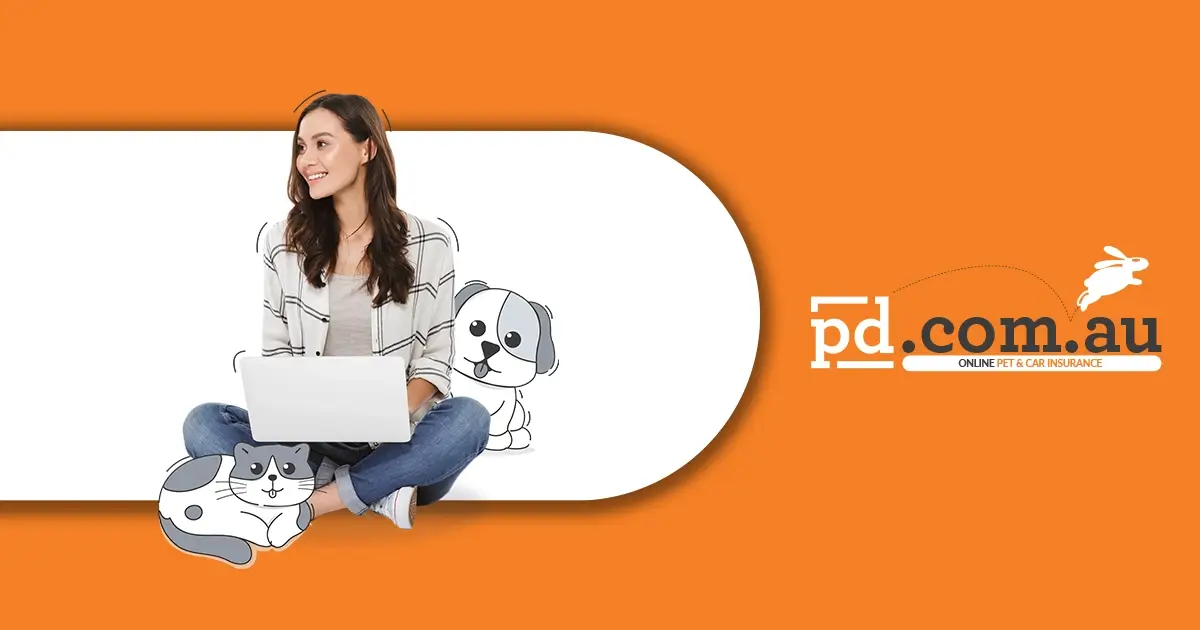 Contact PD Insurance for Pet Insurance & Car Insurance - PD Insurance