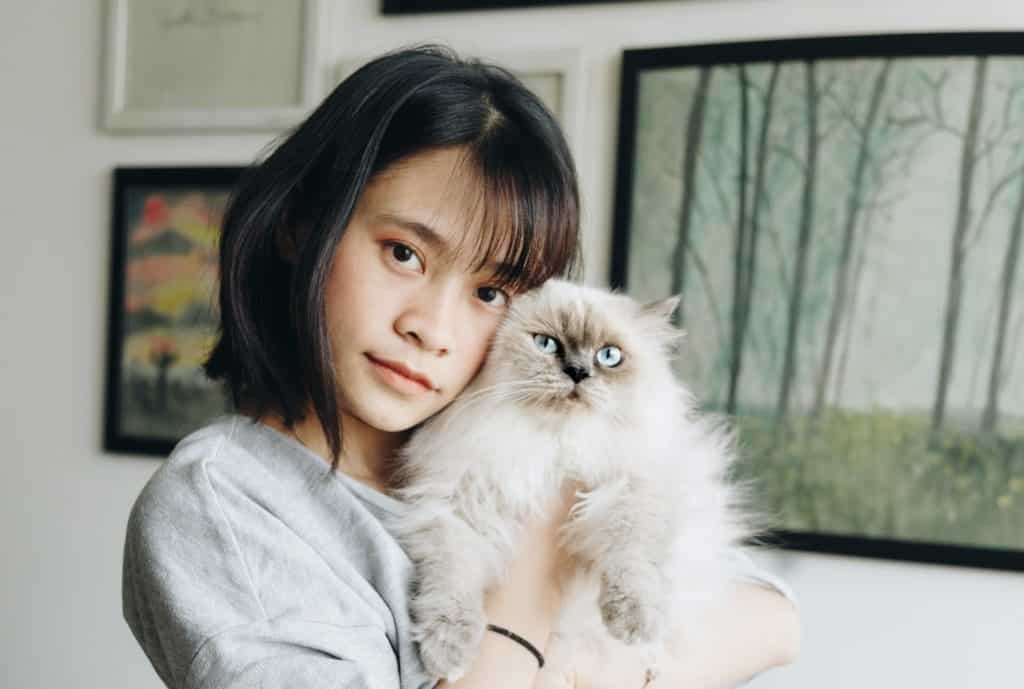 Car Insurance Quote Discounts | Car Insurance Savings - PD Insurance