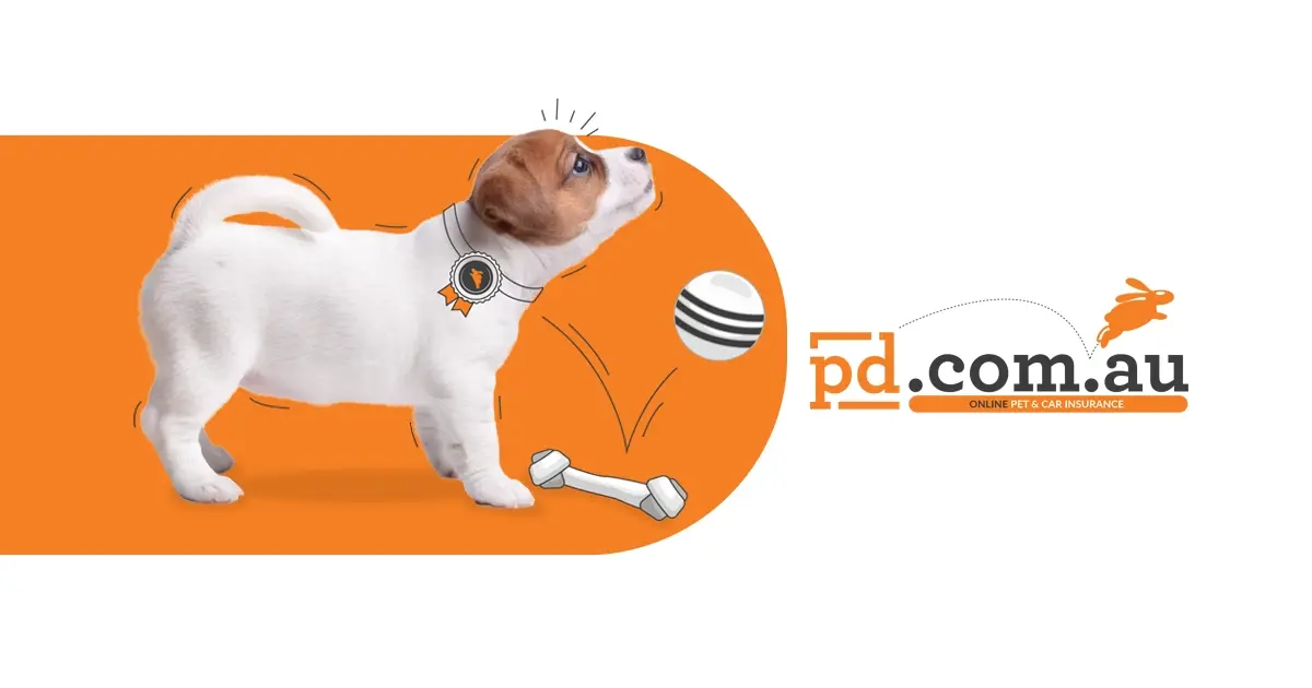 Puppy Insurance Australia | Save on Pet Insurance | PD Insurance