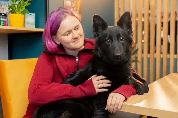 Service & Guide Dog Breeds That Make the Best Helpers - PD Insurance