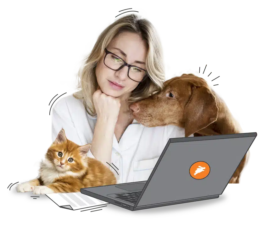 Careers - PD Insurance