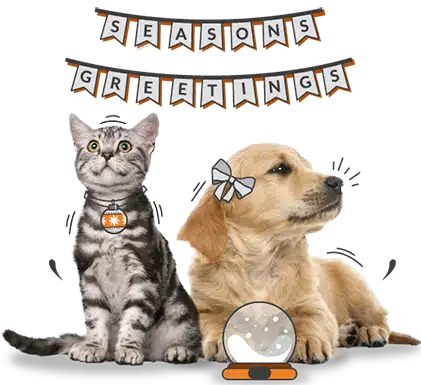 Pet Care Partner Program | Rewards & Benefits | PD Insurance