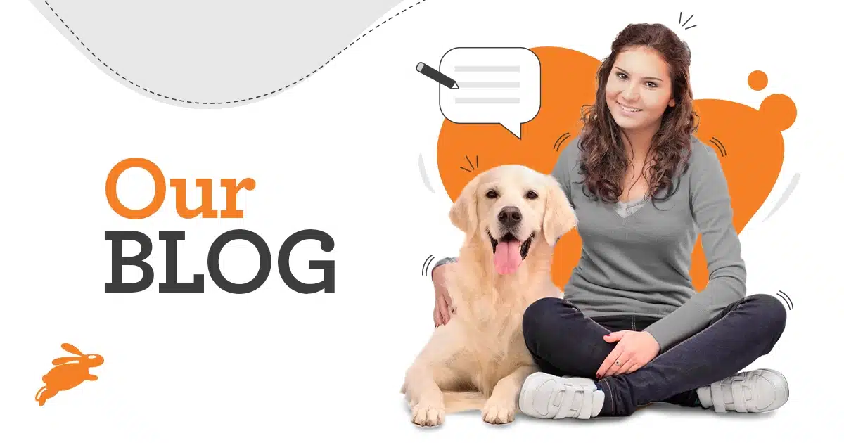 Pet Information Blog | Car Owner Information - PD Insurance