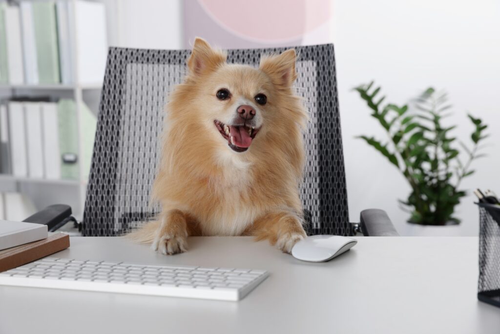 Bring Your Dog to Work Day: Why You Should - PD Insurance