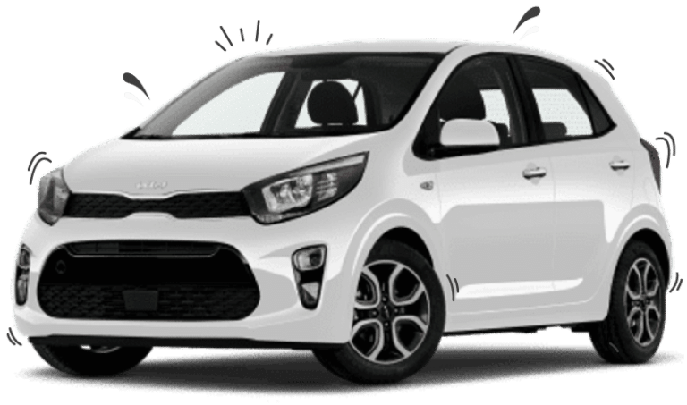 Contact PD Insurance for Pet Insurance & Car Insurance - PD Insurance