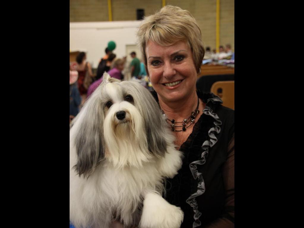 Dog Show: Interview with a Conformation Judge - PD Insurance