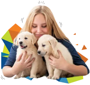 PD Insurance - Car & Pet Insurance for Australians